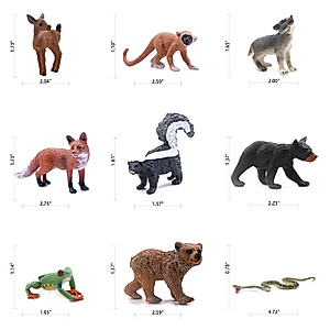 SIENON 18Pcs Forest Animals Figures Toys, Baby Woodland Animals Figurines, Miniature Animals Toys with Owl, Hedgehog, Fox, Squirrels, Bears, Monkey for Woodland Theme Cake Toppers Cupcake Toppers