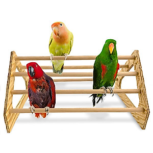 Backyard Barnyard Chick Perch Strong Wooden Jungle Gym Roosting Bar Made in USA!!! Chicken Toys for Coop and Brooder for Baby Chicks El Pollitos La Pollita Pollos Gallinas Polluelos