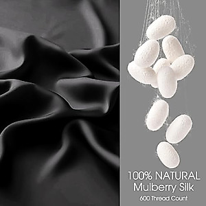 WLOSJ 100% Silk Pillow Cases 2 Pack Queen Size Mulberry Silk Pillowcase for Hair and Skin Set of 2 Highest Grade 6A Silk with Hidden Zipper, Black