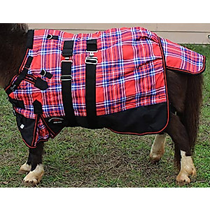 CHALLENGER 50" 600D Miniature Weanling Donkey Pony Horse Foal Winter Blanket Navy 51972B