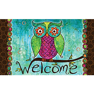 Toland Home Garden 800004 Rainbow Owl Welcome Door Mat 18x30 Inch Bird Outdoor Doormat for Entryway Indoor Entrance