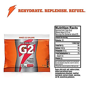 Gatorade Powder Bag Fruit Punch, 21 Ounce (Pack of 32)