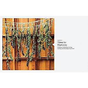 The Cannabis Gardener: A Beginner's Guide to Growing Vibrant, Healthy Plants in Every Region [A Marijuana Gardening Book]