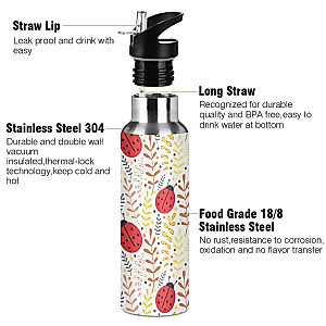 xigua Ladybug Water Bottle Double Walled Stainless Steel Leak Proof Thermo Flask for Sports Gym Cycling Outdoor,20 oz.