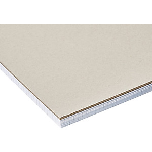 Amazon Basics Quad-Ruled Graph Paper Pad - Pack of 2, 8.5 Inch x 11.75 Inch