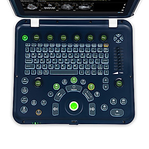 BPU60V Hand-Carried 15" Color Doppler Ultrasound System equine, large animal, small animal, zoo mammal, and marine mammal medicine body scans Abdomen, Reproduction, Gynecology, Cardiology, Small Parts