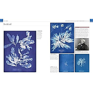 Remarkable Books: The World's Most Historic and Significant Works (DK History Changers)