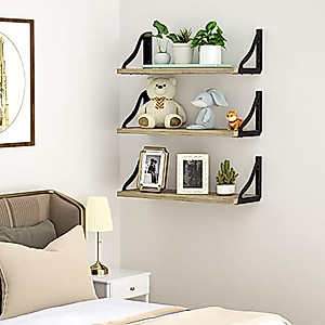 newaredy Floating Shelves, Shelves for Wall Decor, Bathroom Wall Shelves, Bookshelf Floating Shelves Wall Mounted, 16.5 Inch Wall Shelves for Living Room, Kitchen, Bedroom and Laundry Room Storage