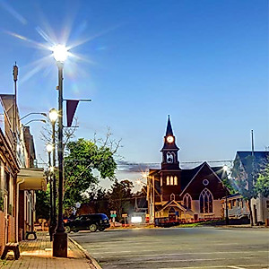 Westinghouse 5234100 36 Watt (200 Watt HID Equivalent) ED28 Daylight High Lumen Filament LED Light Bulb, Extended Mogul Base