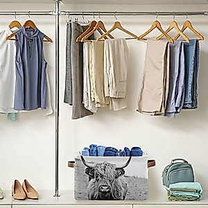 Kigai Highland Cow Storage Baskets Rectangle Foldable Canvas Fabric Organizer Storage Boxes with Handles for Home Office Decorative Closet Shelves Clothes Storage
