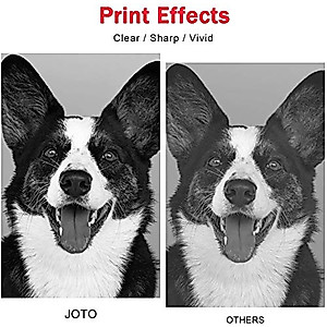 JOTO Compatible Toner Cartridge Replacement for Brother TN760 TN-760 TN730 TN-730 for MFC-L2710DW MFC-L2750DW HL-L2370DW DCP-L2550DW HL-L2350DW HL-L2395DW HL-L2390DW Laser Printer ( 2-Pack )