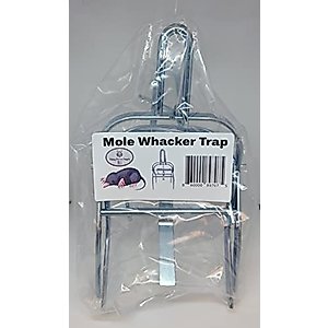 Mole Whacker Trap