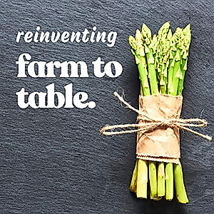 UC 157 F2 Asparagus Garden Seeds - 2 g Packet ~60 Seeds - Non-GMO, Hybrid, Perennial Vegetable Gardening Seeds