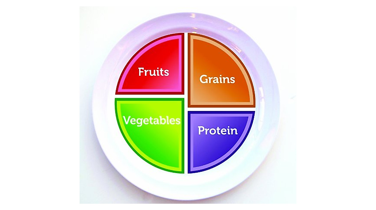 Portion Control Plate for Balanced Eating | MyPlate for Teens & Adults