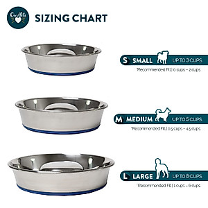 OurPets DuraPet Slow Feed Premium Stainless Steel Dog Bowl, Silver (2040010301)