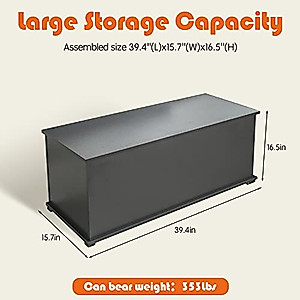 Storage Chest Trunk, Lift Top Wood Box for Toys Modern Entryway Bench Organizer Home Furniture,Clothes Trunks Cabinet for Bedroom Modern Wood Chest Kids Toy Box(Black)