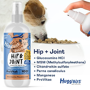 Huggibles Hip & Joint Support Liquid Supplement for Dogs & Cats – Daily Supplement for Mobility Support with Glucosamine, MSM, Chondroitin – Reduce Pain & Inflammation – Antioxidants for Longevity