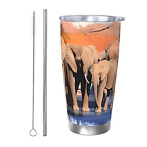 EKPRAVDKTF Elephants Art 20oz Insulated Stainless Steel Tumbler With Lids And Straws, Double Wall Vacuum Travel Coffee Mug, Thermal Cup For Cold & Hot Drinks, Reusable Metal Straw & Brush