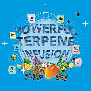 Integra Boost - Limonene Infuser Humidity Packet - Terpene Essentials Two-Way Humidity Control - Maintains 62 Percent Relative Humidity for Food & Herbs Storage