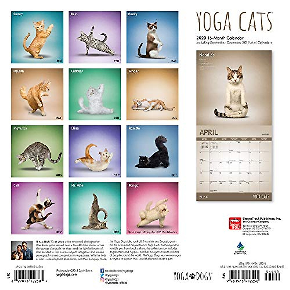 Yoga Cats 2020 Calendar