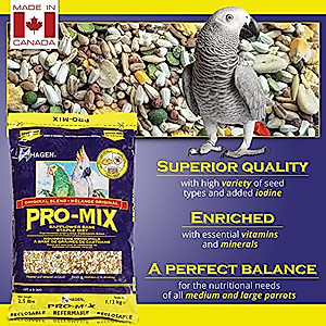 Parrot Vme Pro-Mix Seed, 2-1/2-Pound