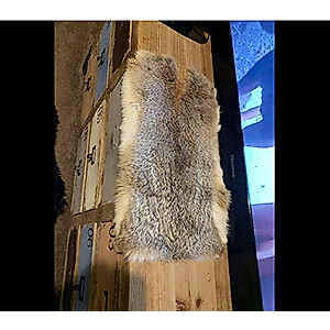 Natural Tanned Rabbit Fur Hide (10" by 12" Rabbit Pelt with Sewing Quality Leather)