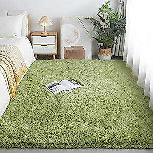GERBIT Shag Area Rug 4x6 Feet Soft Indoor Rectangular Rugs Carpet Modern Luxury Plush Rugs for Living Room Home Decor Grass Green