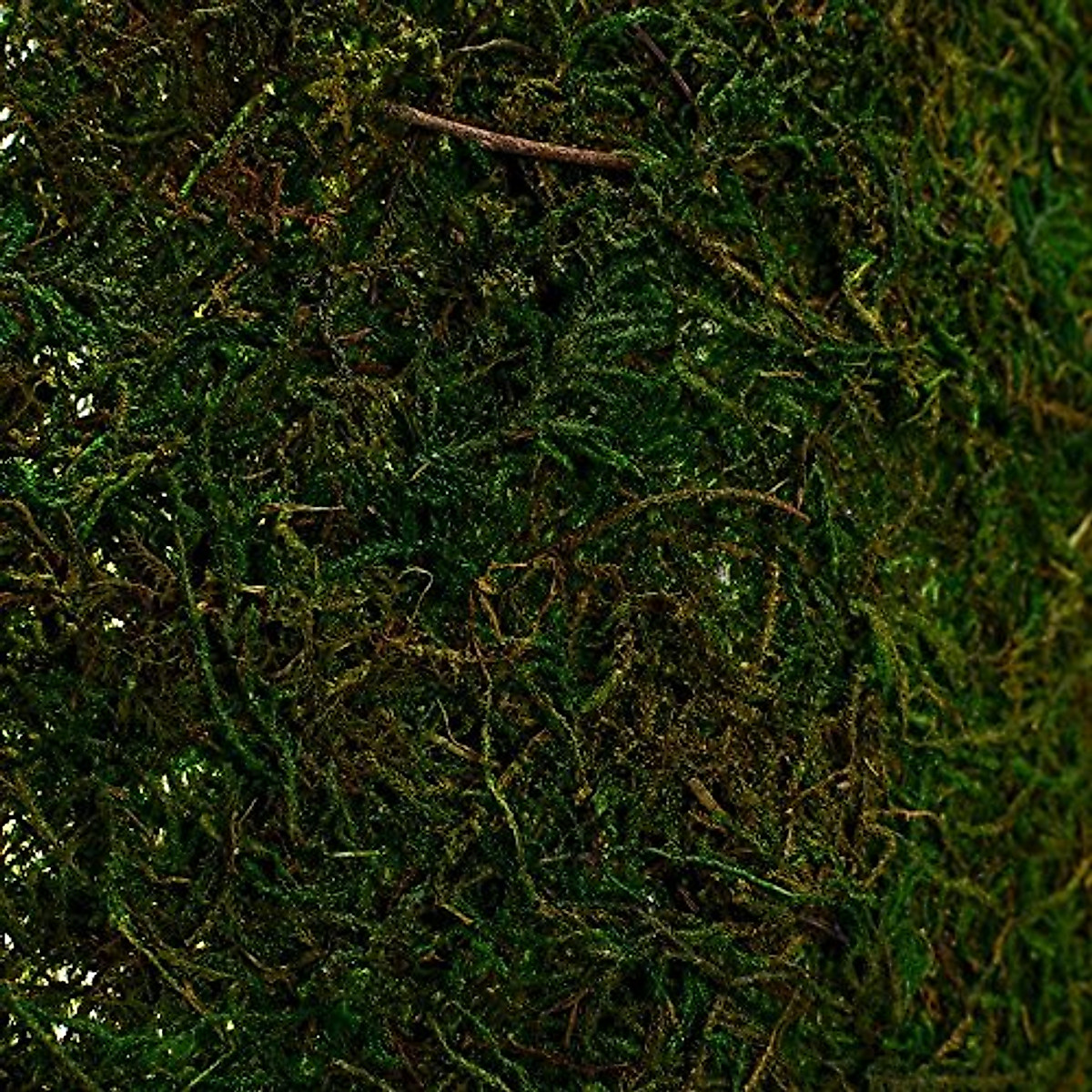 Byher Dried Moss Table Runner for Party Garden Decoration, Dark Green 30cm X 180cm ( 12" x 71" )