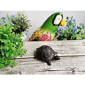 BSTGIFTS Cast Iron Turtle Key Hider - Spare Key Holder - Garden Decoration Turtle, Jewelry Trinkets Box for Key, Ear Studs, Ring, Paper Clip (Antique Brown)…