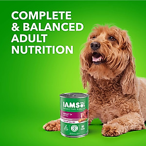 IAMS Proactive Health Adult Wet Dog Food Chunks in Gravy, Beef Recipe, 13 oz. Cans, Pack of 12