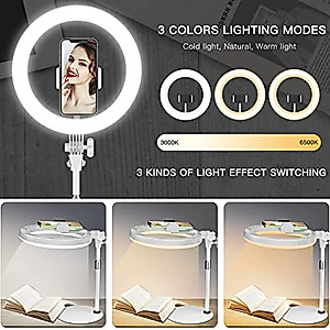 Video Conference Lighting for Laptop Computer, 10.5'' Selfie Ring Light with Stand and Phone Holder for Remote Working, Zoom Meeting Calls, Webcam Lighting, Live Streaming, Video Recording (White)