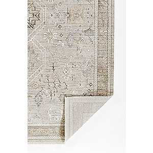 Momeni Cambridge Viscose and PES Traditional Indoor Area Rug, Grey, 3'11" X 5'5"