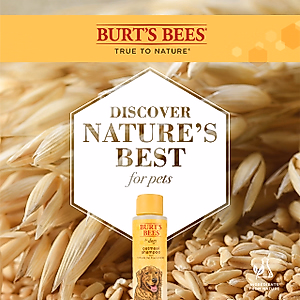 Burt's Bees for Dogs Natural Oatmeal Dog Shampoo with Colloidal Oat Flour & Honey | Moisturizing Oatmeal Dog Shampoo | Cruelty Free, Sulfate & Paraben Free, pH Balanced for Dogs -16 Oz 2 Pack