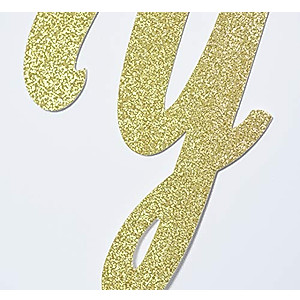 My First Fiesta Banner Sign Garland for Mexican Fiesta Themed Baby Shower First Birthday Party Decorations Photo Props Backdrop (Gold Glitter)