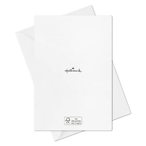 Hallmark Assorted Birthday Cards with Envelopes (20 Card Refill Pack for Organizer Box)