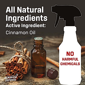 Exterminators Choice - Scorpion Defense Spray - 1 Gallon - Natural, Non-Toxic Scorpion Repellent - Quick and Easy Pest Control - Safe Around Kids and Pets