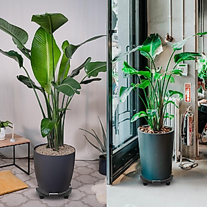 WBD WEIBIDA Heavy Duty Plant Stand Outdoor Adjustable PLant Stand for Multiple Plant Anti-Rust Large Flower Plant Pot Stands Plant Holder for Your Garden, Patio, Porch, Balcony