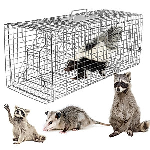 KOCASO Live Animal Trap Cage, Folding Large Humane Heavy Duty Trap Cage Catch Release Live Animal Rodent Trap Cage Collapsible Galvanized Wire for Raccoons Beavers Groundhogs Foxes Armadillos