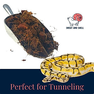 Snout and Shell Coco Chip Reptile & Amphibian Bedding 1.1 lb - Perfect for Snakes, Lizards & Tortoises Tunneling - 100% Organic Coconut Chip - 500 Grams
