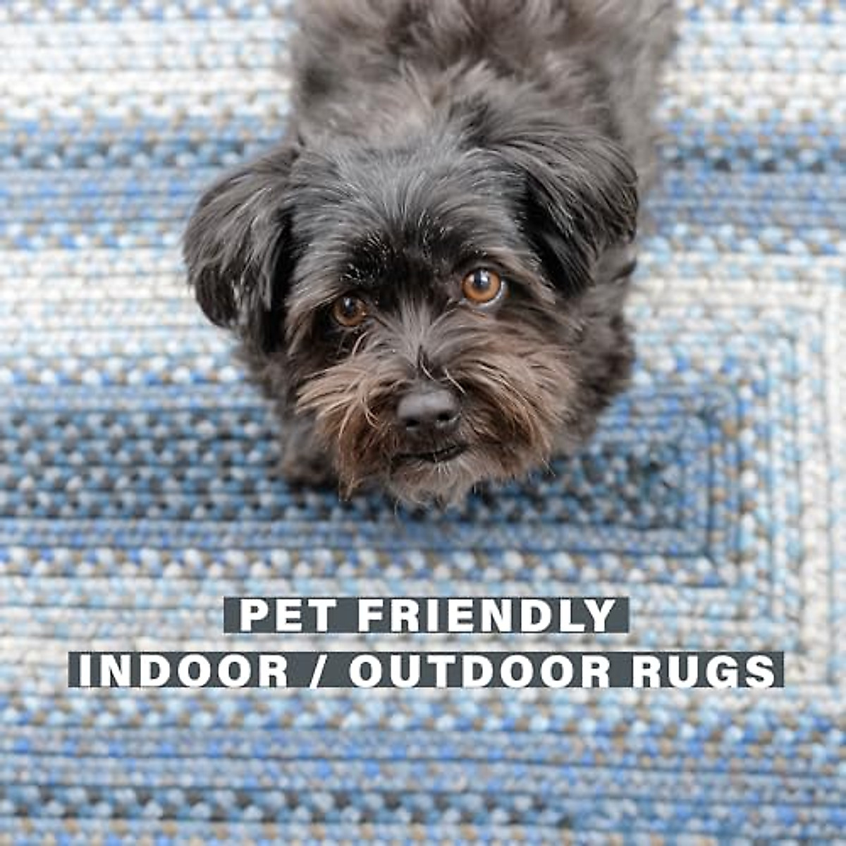 Homespice Juniper 4 x 6 Area Rug for Bedroom and Living Room, Also Ideal to Use as a Blue Outdoor Rug for Deck and Patio - Spill Proof and Stain Resistant - Reversible Indoor Outdoor Rugs 4x6 Feet