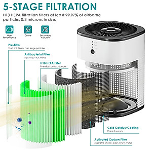 H13 True HEPA Filter