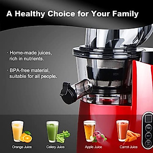 LynTorin Cold Press Juicer Machine, Slow Juicer Cold Press with 3.2" Wide Feed Chute, 200W Slow Masticating Juicer Machine for Vegetable and Fruit, Juicer Machine for Home Use with Brush, Easy to Clean
