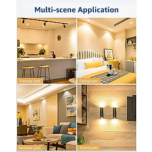 RAGFOZ Mr16 Halogen Bulb 50W, 6Pcs 50W 12V Halogen Light Bulbs 2 pin, GU5.3 Track Light Bulbs for Landscape Lights, Track Lights, Fiber Optics, Desk Lamps, Dimmable, 2700K Warm White