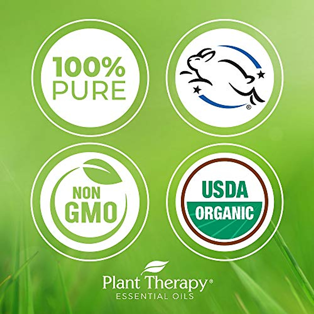 Plant Therapy Organic Oregano Essential Oil 100% Pure, USDA Certified Organic, Undiluted, Natural Aromatherapy, Therapeutic Grade 100 mL (3.3 oz)