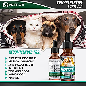 Premium Probiotics for Dogs & Cats - Digestive Enzymes & Prebiotics Supplement - Helps to Relieve Diarrhea, Vomiting, Upset Stomach, Gas, Constipation & Bad Breath - Supports Healthy Digestive System