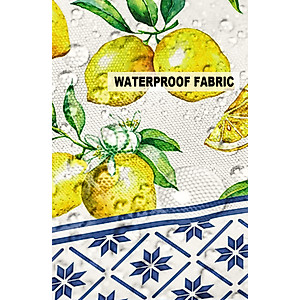 Throw Pillows for Couch Pack of 2 Waterproof Throw Pillow Covers 16x16 Inch, Outdoor Pillows Cushion Case for Bed Sofa Outdoor Furniture, Summer Lemon Texture Decorative Pillows Cover