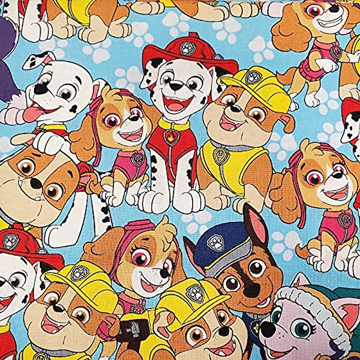 DAVID TEXTILES Paw Patrol Buddies Blue Cotton Fabric by The Yard, Multi, 45 Inches