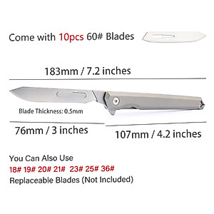 TENCHILON TS29 Small Slim Flipper #60 Blades Pocket Scalpel Knife, 4.2 inches TC4 Titanium Handle Pocket Clip, Insert Bar Frame Lock, Gentleman's EDC Knives with Waterproof Capsule