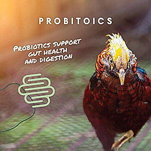 Manna Pro All Flock Crumbles | 16% Protein Level | Complete Feed for Chickens, Ducks, Geese, Turkeys and Gamebirds | Probiotics to Support Digestion | Crumbled Form for Easy Feeding | 25 Pounds