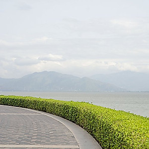 Freewell 77MM UV Multicoated Optical Glass Filter